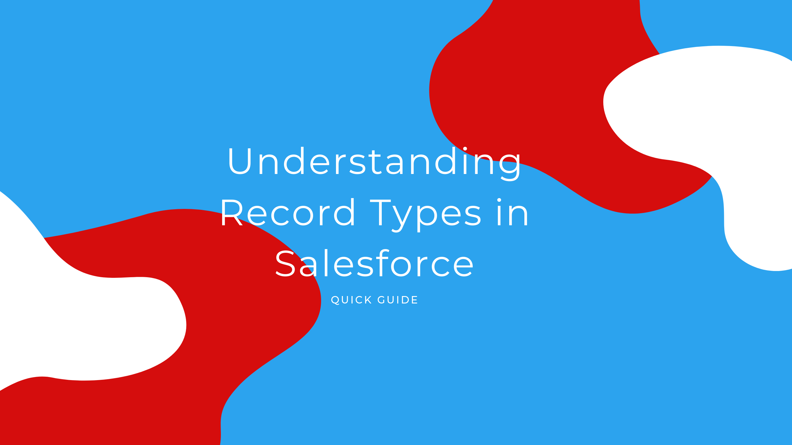 Understanding Record Types In Salesforce Crmd Salesforce Consultants