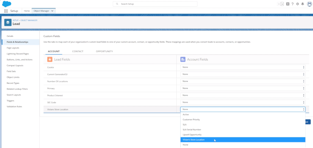 Custom Field Mapping In Salesforce Crmd Salesforce Consultants